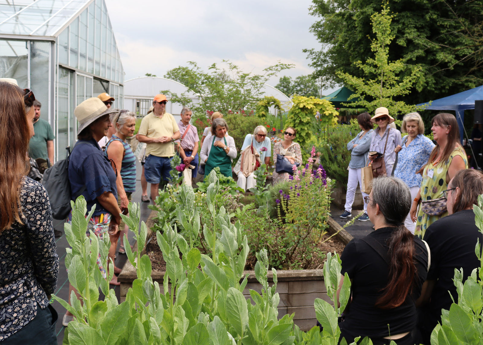 Jekka's HerbFest 2021 | Gardening, Food, Health & Well-Being | Jekka's