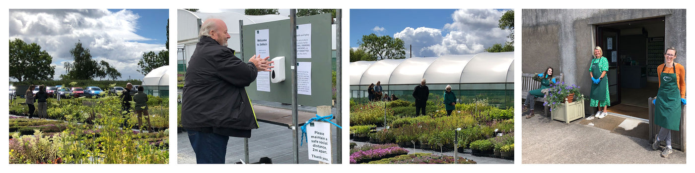 Visit and explore our collection of over 400 culinary herbs | Jekka's