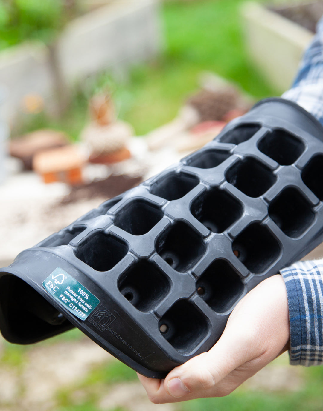 tree seed trays