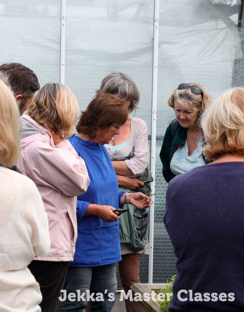 Herb Garden Design | Master Class | Jekka's